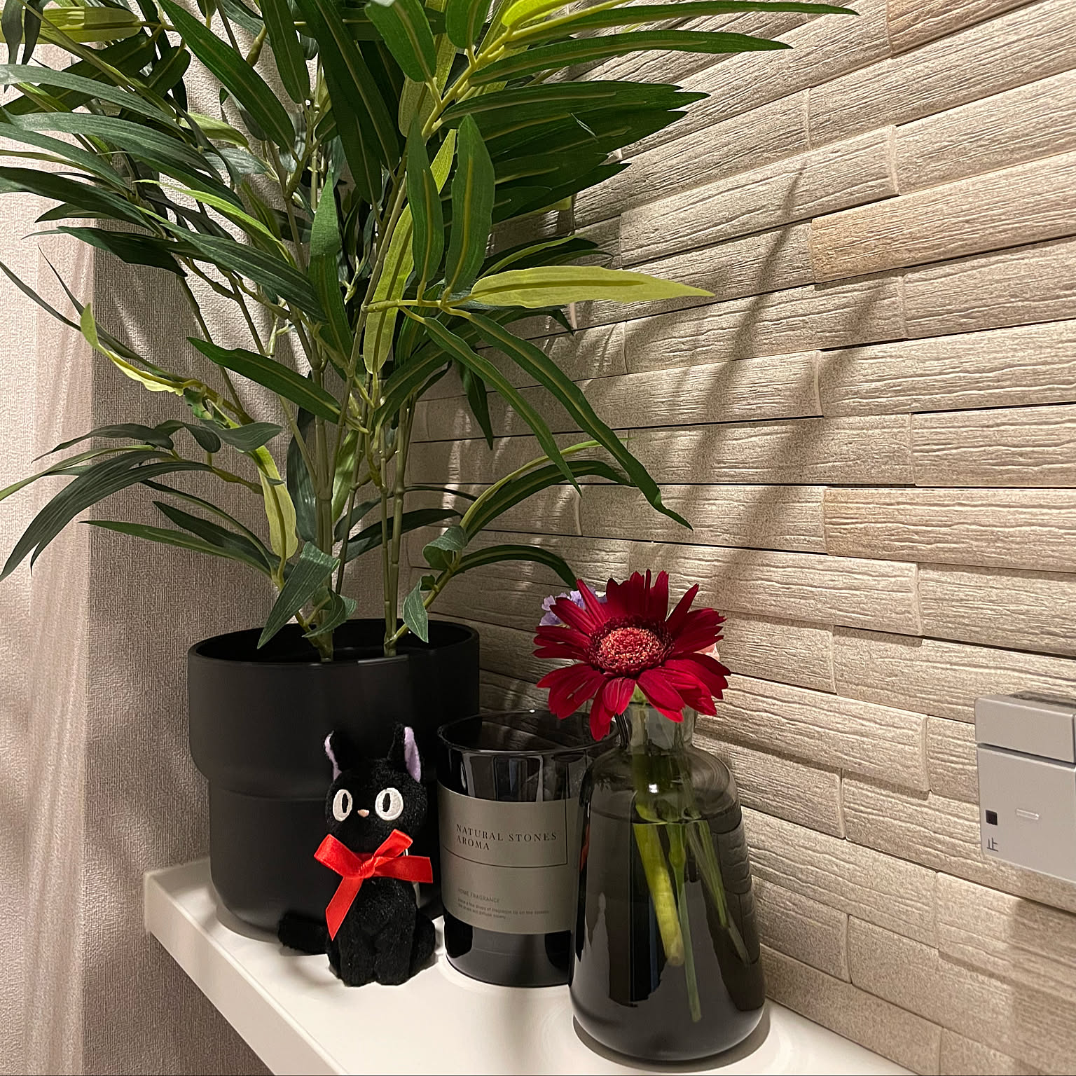 花のある暮らし/カームウッド/スリコ/アロマストーン/観葉植物...などのインテリア実例 - 2022-09-18 09:28:37 ...