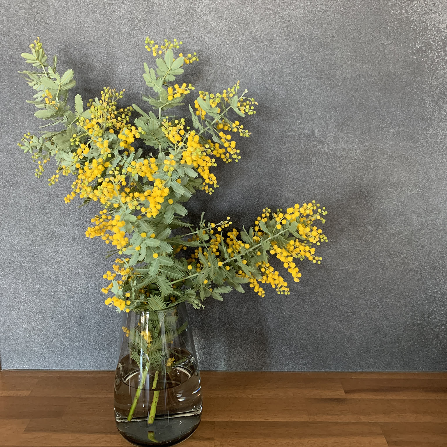 フラワーベース ミモザの花のおすすめ商品とおしゃれな実例 フラワーベース ミモザの花のおすすめ商品とおしゃれな実例