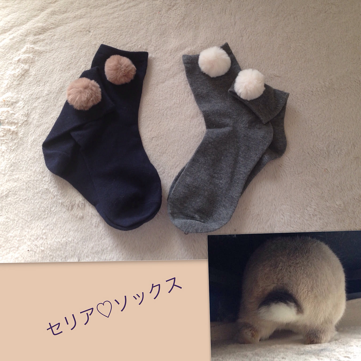 棚/ソックス/セリア♡/新商品買ったよ！のインテリア実例 - 2018-11-20 16:18:03 ｜ RoomClip（ルームクリップ）