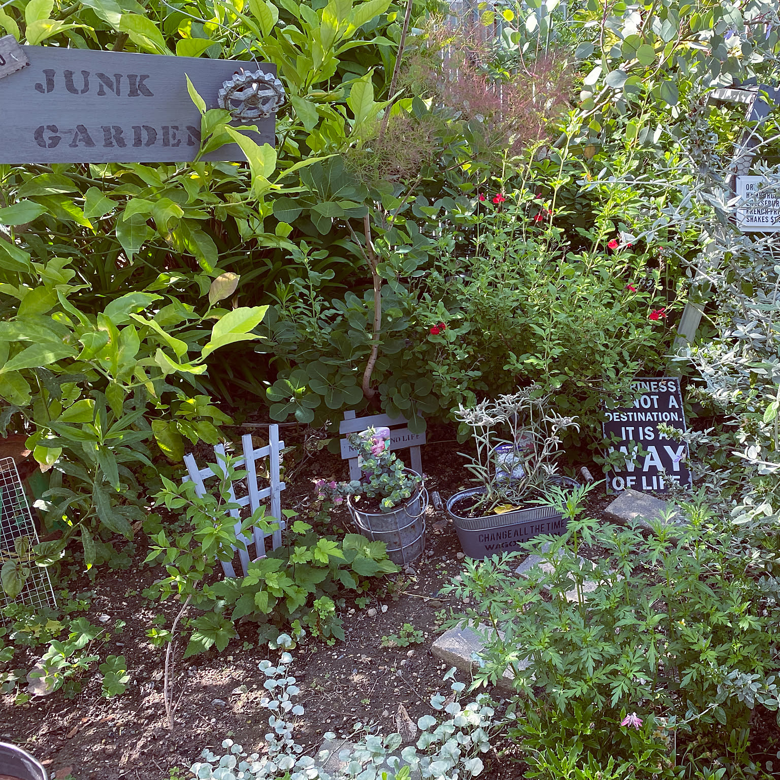 壁/天井/ガーデン/ガーデニング/ジャンクガーデン/お庭...などのインテリア実例 - 2016-05-17 19:52:52 ...