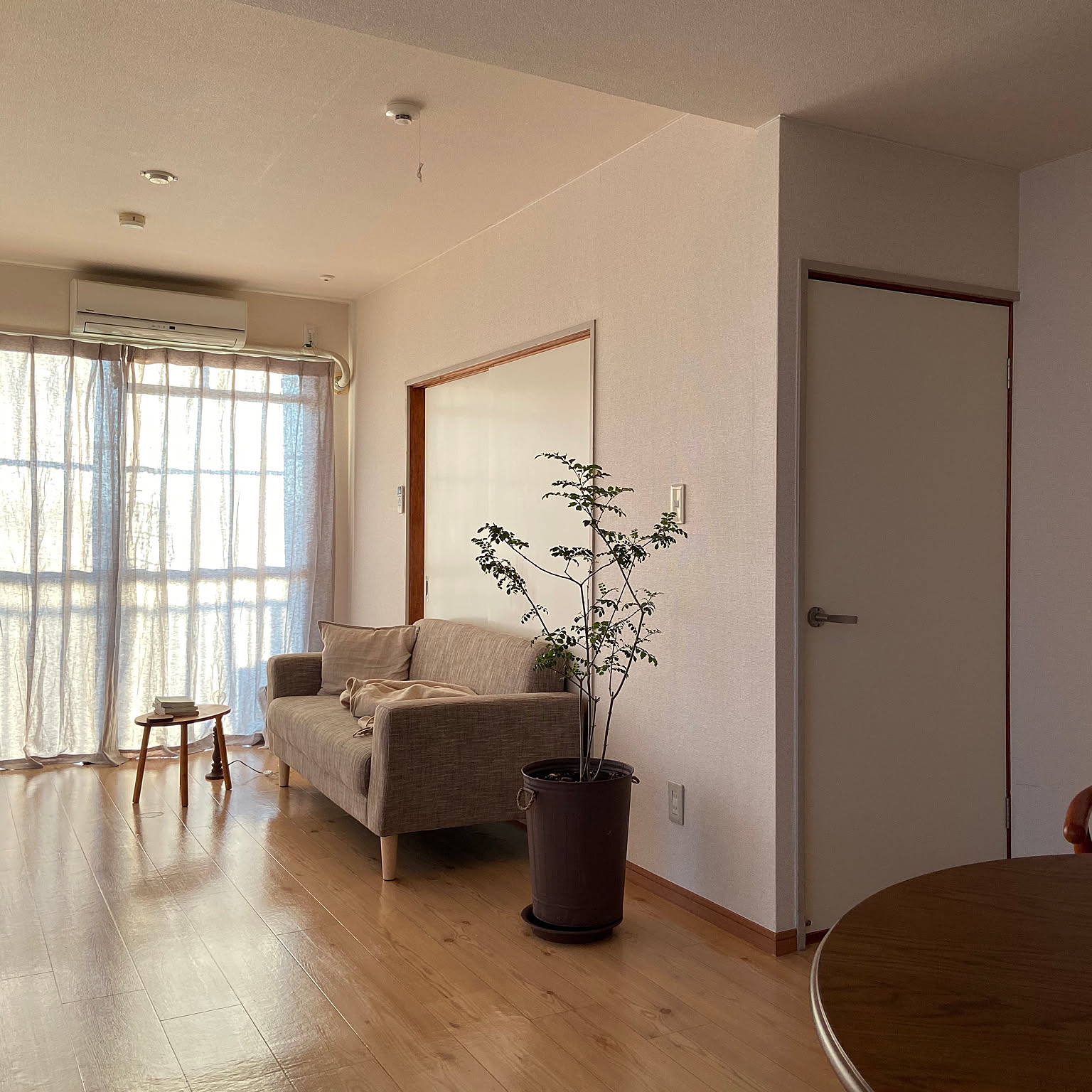 2LDK/賃貸/ホワイトインテリア/観葉植物/ナチュラルインテリア...などのインテリア実例 - 2022-09-02 14:39:33 ｜ RoomClip（ルームクリップ）