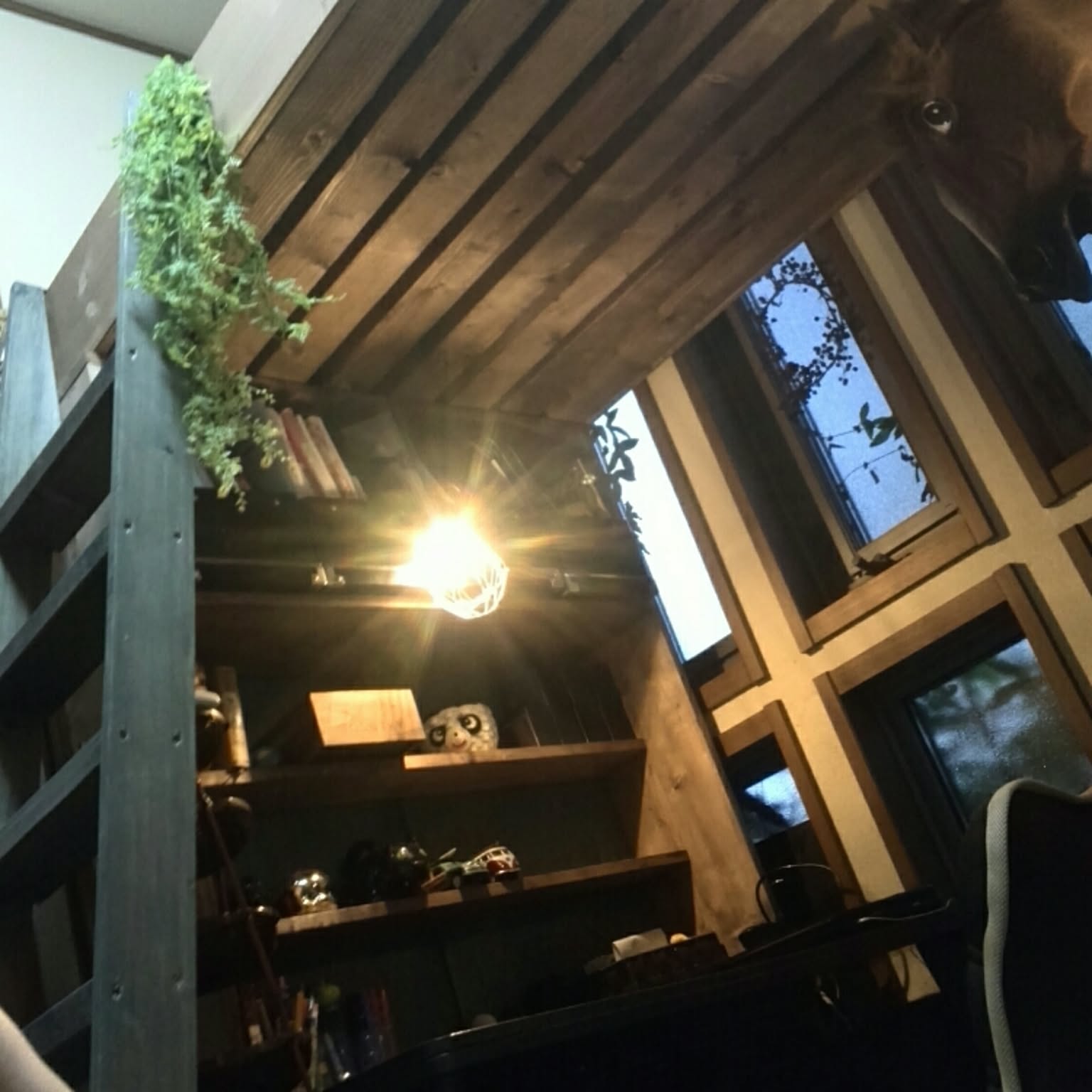 ベッド周り/子供部屋/DIY/なんちゃって窓DIYのインテリア実例 - 2017-05-22 10:17:44 ｜ RoomClip（ルームクリップ） | RoomClip（ルームクリップ）