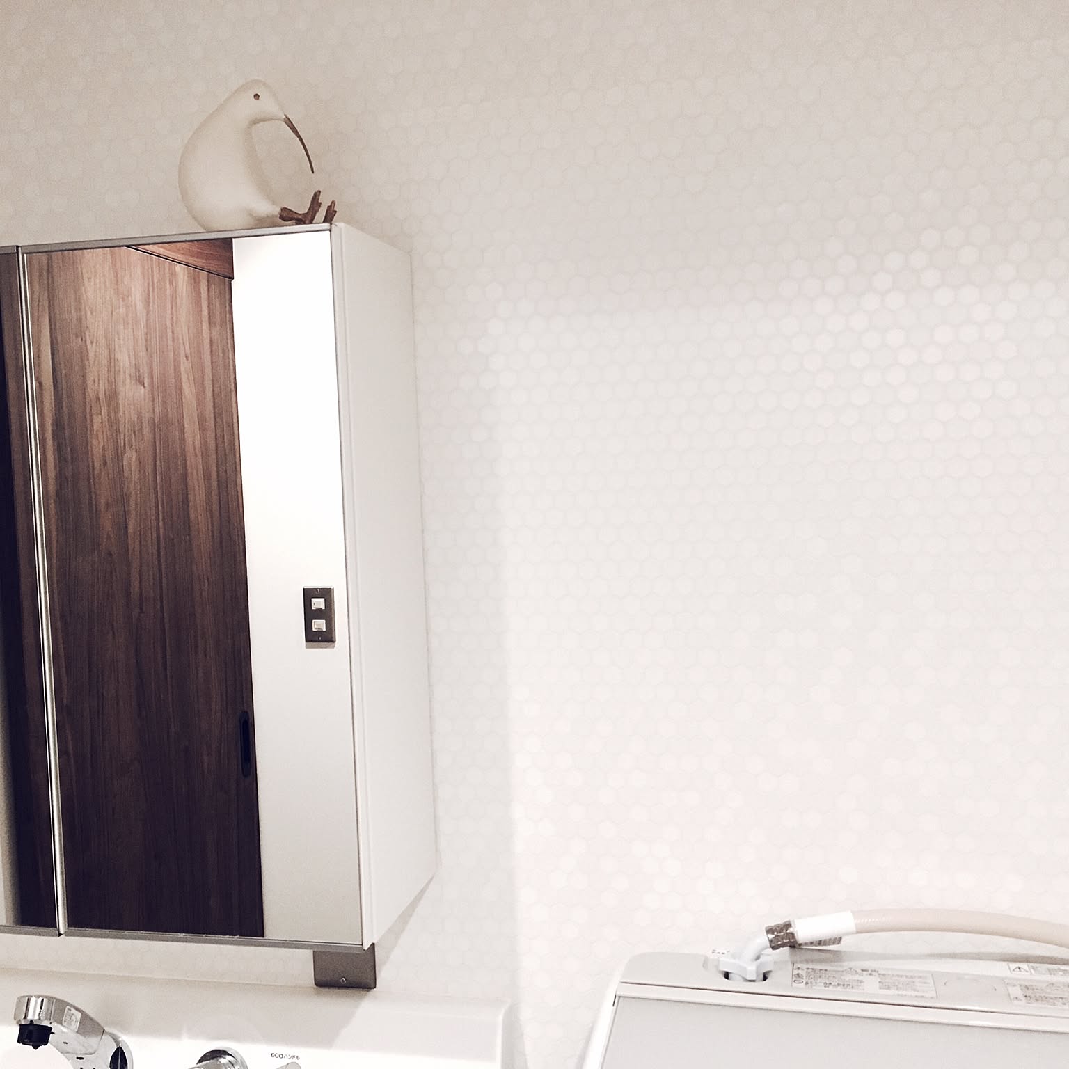 バス/トイレ/アクセントクロス/オブジェ/ヘキサゴン/キウイ（鳥）...などのインテリア実例 - 2017-05-18 23:33:08 ...