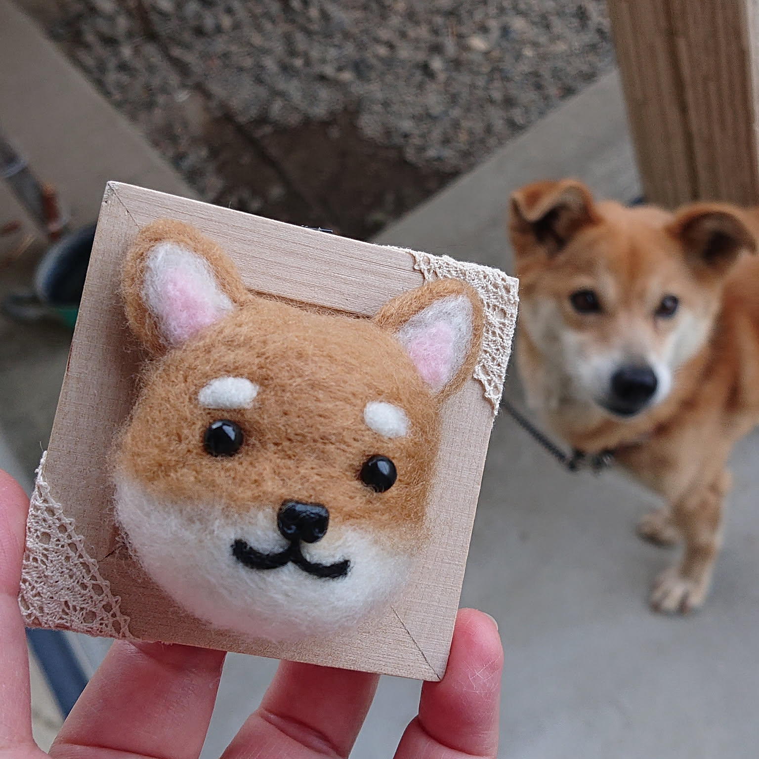 羊毛フェルト 柴犬のおすすめ商品とおしゃれな実例 | RoomClip 羊毛フェルト 柴犬のおすすめ商品とおしゃれな実例 | RoomClip