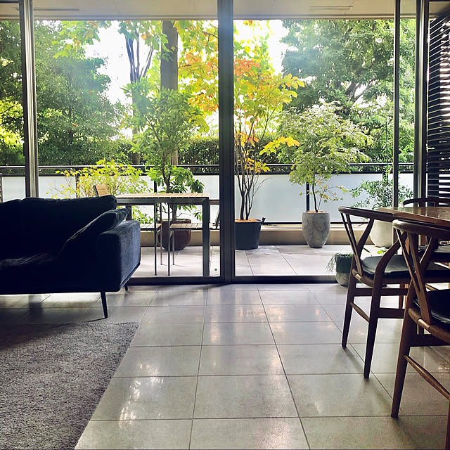 yチェア boconceptのおすすめ商品とおしゃれな実例 | RoomClip yチェア boconceptのおすすめ商品とおしゃれな実例 | RoomClip