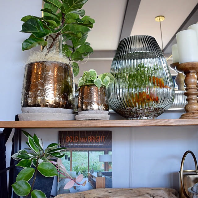 花瓶 金魚鉢のおすすめ商品とおしゃれな実例 | RoomClip 花瓶 金魚鉢のおすすめ商品とおしゃれな実例 | RoomClip