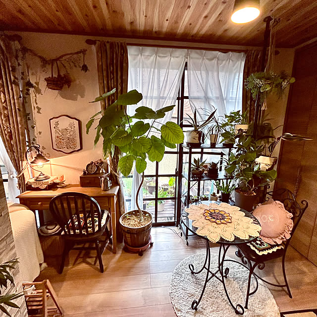 観葉植物 窓際ディスプレイのおすすめ商品とおしゃれな実例 観葉植物 窓際ディスプレイのおすすめ商品とおしゃれな実例