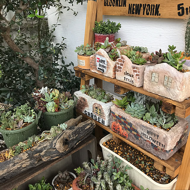 モルタルハウス 多肉植物鉢 モルタルデコ 柔らか モルタルハウス 多肉植物鉢 モルタルデコ 柔らか