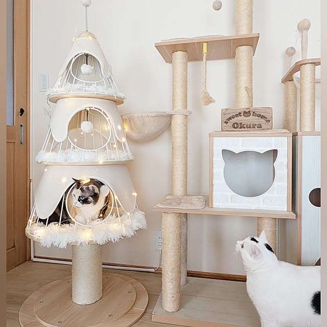 猫とクリスマスツリーのおすすめ商品とおしゃれな実例 猫とクリスマスツリーのおすすめ商品とおしゃれな実例