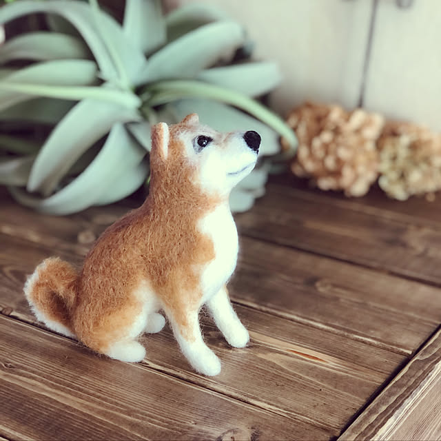 羊毛フェルト 柴犬のおすすめ商品とおしゃれな実例 | RoomClip 羊毛フェルト 柴犬のおすすめ商品とおしゃれな実例 | RoomClip