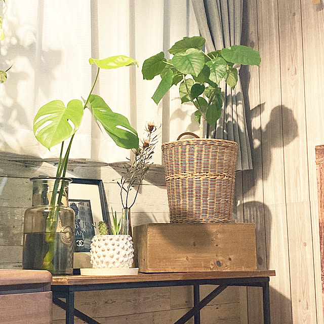 男前 植木鉢カバーのおすすめ商品とおしゃれな実例 | RoomClip 男前 植木鉢カバーのおすすめ商品とおしゃれな実例 | RoomClip