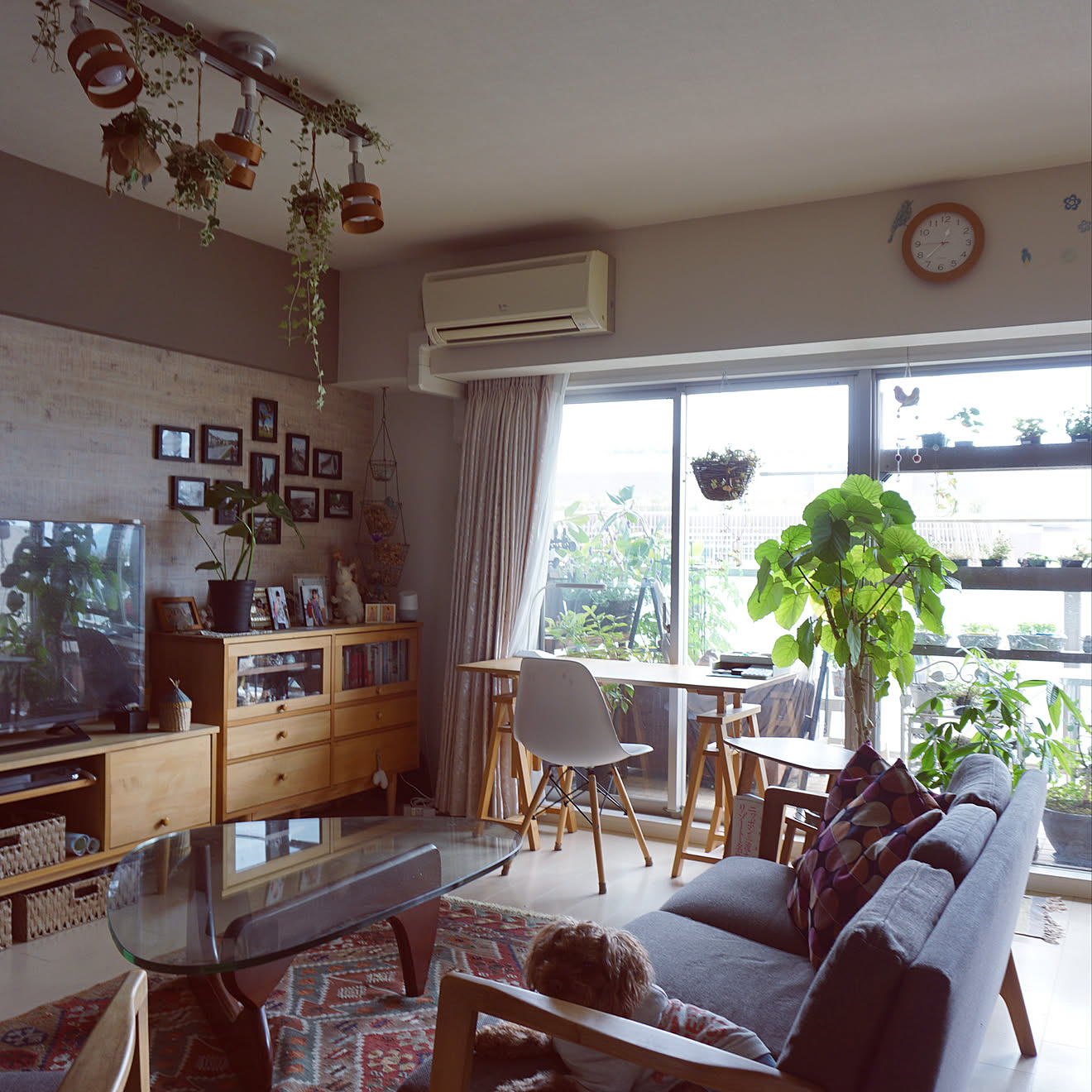 リビング/モモナチュラルのカーテン/ナチュラル/マンション暮らしのインテリア実例 - 2018-05-23 20:03:20 ...