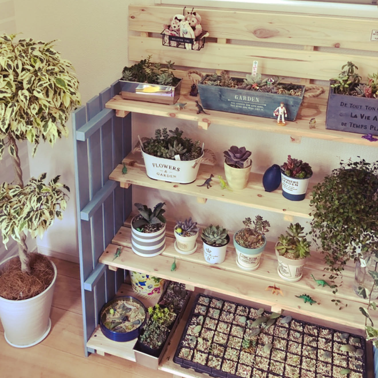 棚/DIY/雑貨/100均/観葉植物のインテリア実例 - 2017-05-22 13:02:58 ｜ RoomClip（ルームクリップ） | RoomClip（ルームクリップ）
