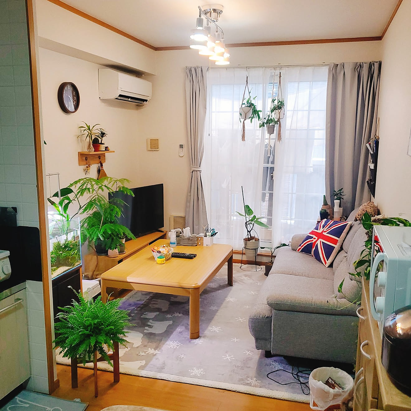 部屋全体/植物のある暮らし/賃貸アパート/2LDK/4.5畳...などのインテリア実例 - 2022-09-08 10:49:32 ｜ RoomClip（ルームクリップ）