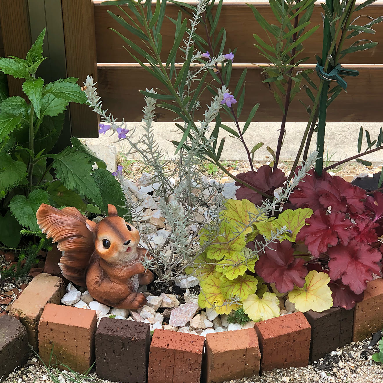 サボテン/好きなものは飾りたいタイプ/植物のある暮らし/miffy/棚のインテリア実例 - 2020-10-14 22:56:18 ｜ RoomClip（ルームクリップ）