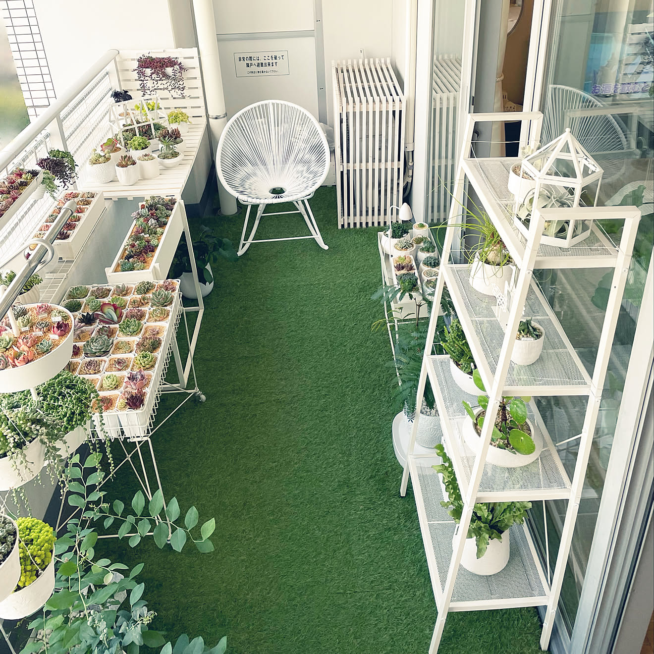 Ikea ハウスプランツ 多肉の寄せ植え ベランダガーデニング 整理収納 などのインテリア実例 2022 10 29 18 14 44