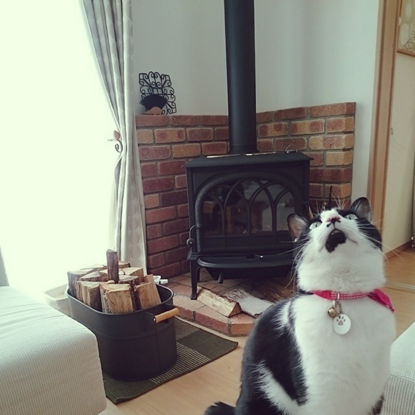 リビング/ねこのいる日常/暖炉/DIY/薪ストーブ...などのインテリア実例 - 2016-01-19 23:03:24 ｜ RoomClip（ルームクリップ） | RoomClip（ルームクリップ）