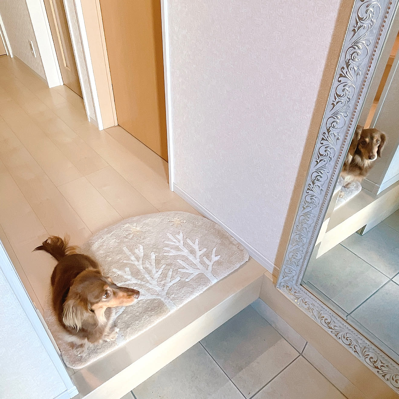 玄関/入り口/LIXIL玄関ドア/壁掛け鏡/全身鏡/姿見鏡...などのインテリア実例 - 2019-01-20 21:36:26 ...