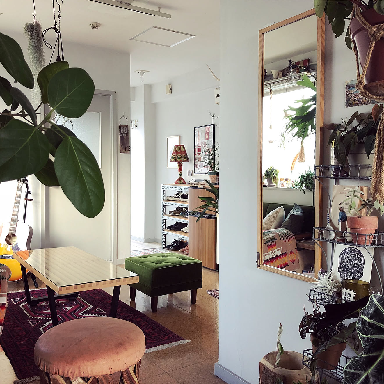 部屋全体/キッチンカウンター/いつもいいねやコメありがとうございます♡/大物観葉植物/シーグレープ...などのインテリア実例 - 2016 ...