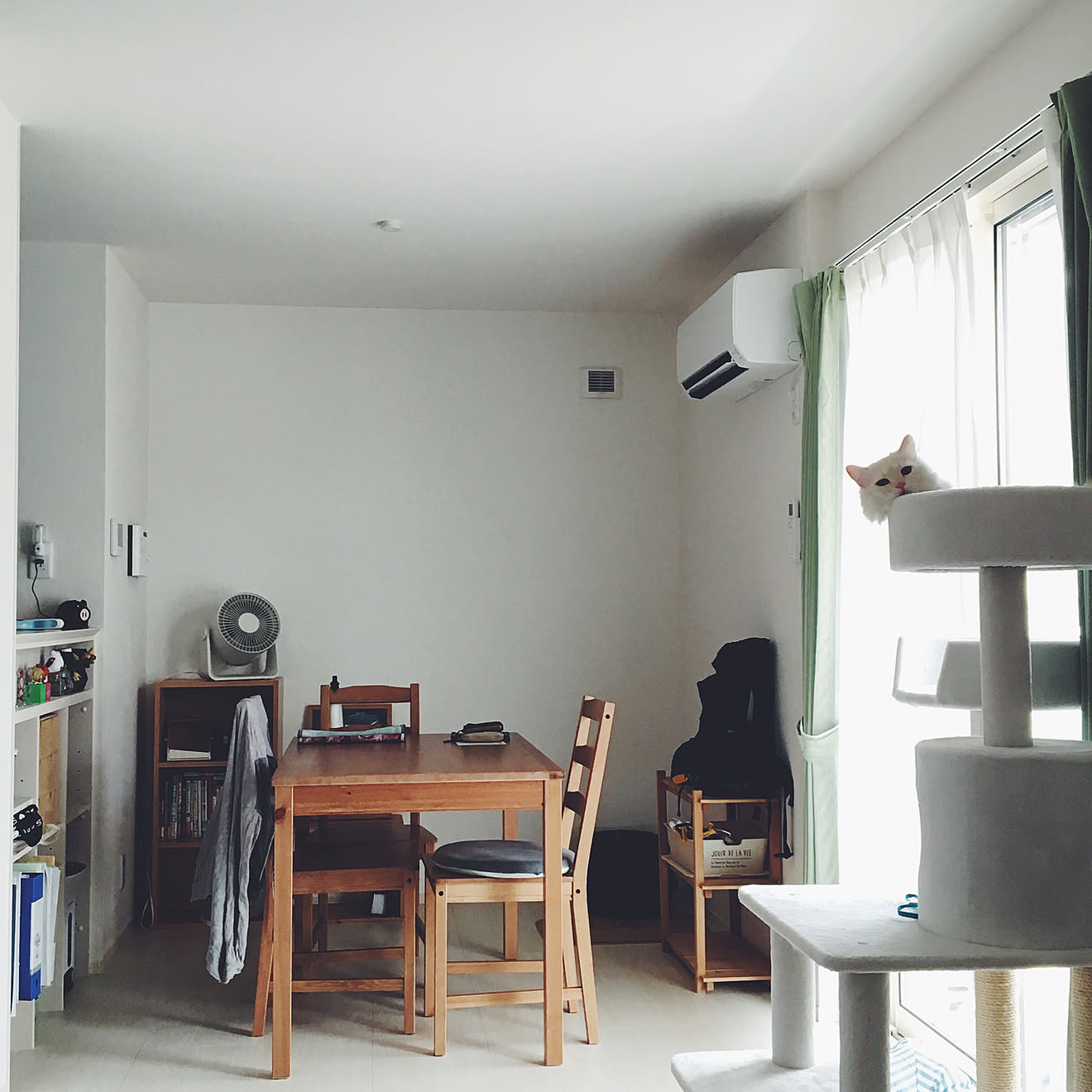 リビング/ダイニングテーブル/1LDK/1LDK 1人暮らし/ねこと暮らす。のインテリア実例 - 2016-12-23 20:40:18 ｜ RoomClip（ルームクリップ ...