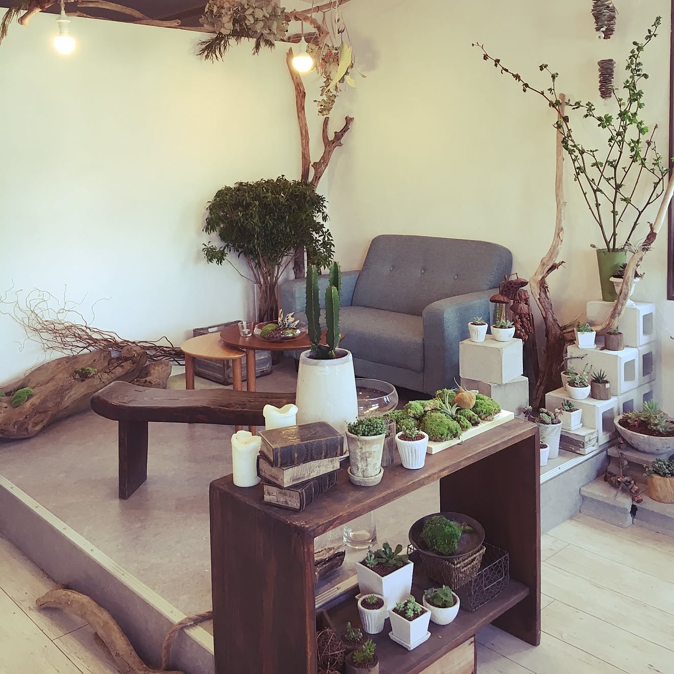 部屋全体/観葉植物/お花/アンティーク/お店のインテリア実例 - 2014-10-14 12:59:50 ｜ RoomClip（ルームクリップ）