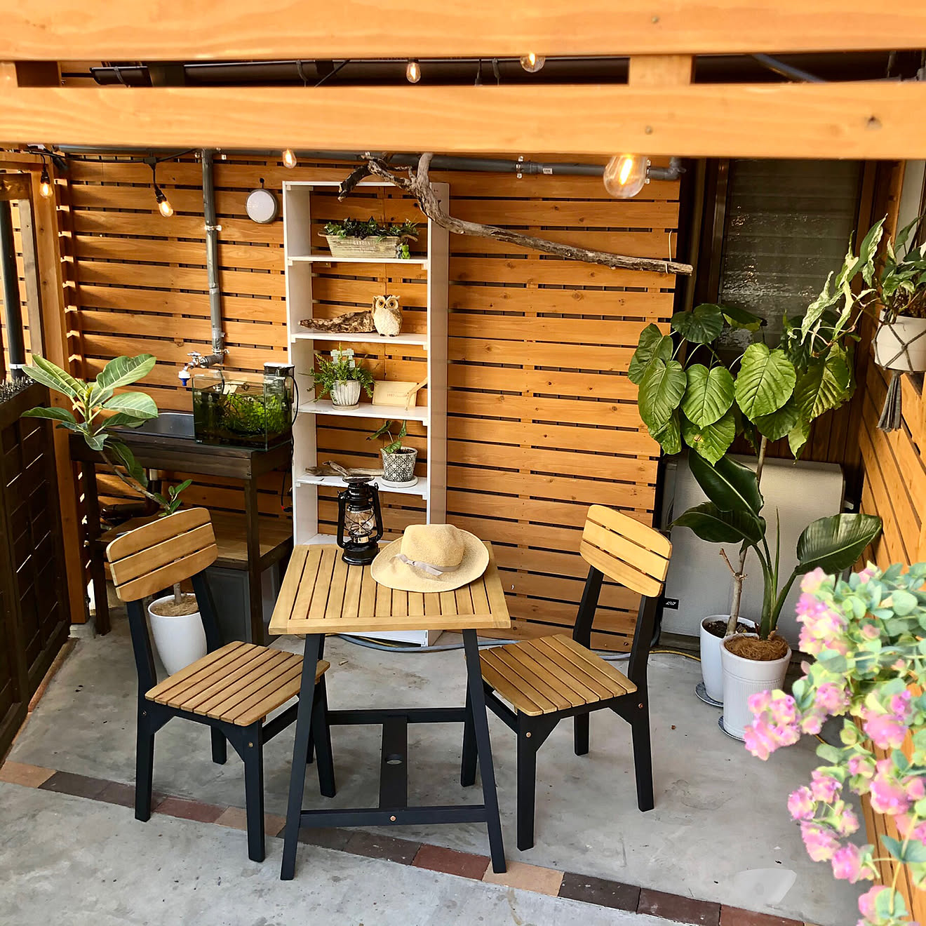 壁/天井/ユーカリ/テラスガーデン/植物/ナチュラル...などのインテリア実例 - 2016-05-24 16:17:03 ...