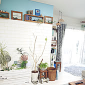 アヴェタパドルブラシ/100均アイテム/ネペンテスミランダ/ヘアブラシ/おうち撮影クエスト...などのインテリア実例 - 2020-08-17 ...