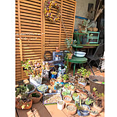 玄関/入り口/アナベル満開になりました/多肉寄せ植え/アスパラガス/ポスト...などのインテリア実例 - 2015-06-21 13:09: ...