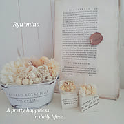 棚/ハンドメイド/セリア/ブリキポット/ドライフラワー...などのインテリア実例 - 2018-05-23 19:40:53 ...