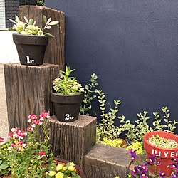 玄関/入り口/グリーン/テラコッタ/北欧/ナチュラル...などのインテリア実例 - 2016-09-14 10:13:06 ...