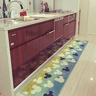 タカラスタンダード キッチン フィオレストーン天板のおすすめ商品とおしゃれな実例 ｜ RoomClip（ルームクリップ）