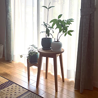 部屋のインテリア実例 katuさん(Room No. 1160415)の部屋 ｜ RoomClip（ルームクリップ）