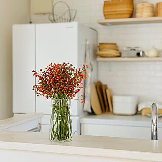 部屋のインテリア実例 mogさん(Room No. 398976)の部屋 ｜ RoomClip（ルームクリップ）