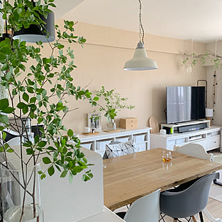 部屋のインテリア実例 kiyoさん(Room No. 909484)の部屋 ｜ RoomClip（ルームクリップ）