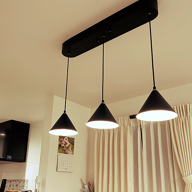 【写真付きレビュー】VEGA CORPORATION LOWYA ロウヤ ペンダントライト ライト LED 照明 ペンダント照明 天井照明 スチール ブラックの通販商品&口コミ情報 ...