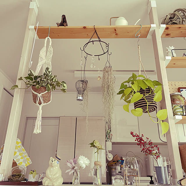 サウナ帽のシロクマ貯金箱〈SeeMONO BLUE〉 フェリシモ FELISSIMO - 通販 | 家具とインテリアの通販【RoomClipショッピング】