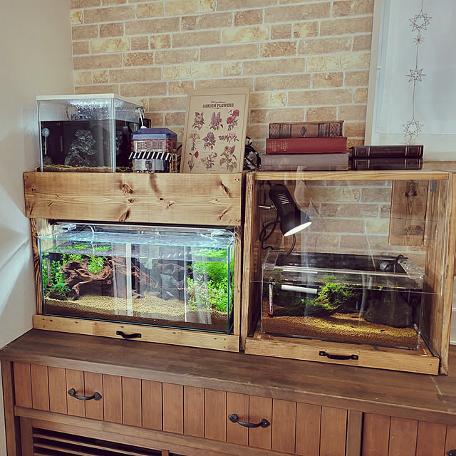 GEX サイレントフィットアルファ LEDセット 250CUBE フィルター、LED付 水槽セット【HLS_DU】 関東当日便 - 通販 | 家具とインテリアの通販【RoomClipショッピング】