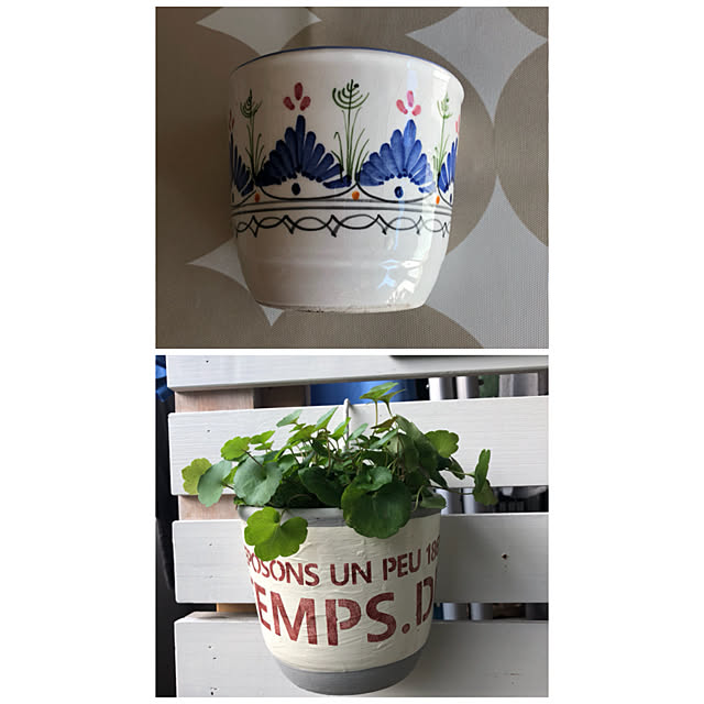 FUJICK(フジック) ベラボン・サキュレント 1L - 通販 | 家具とインテリアの通販【RoomClipショッピング】