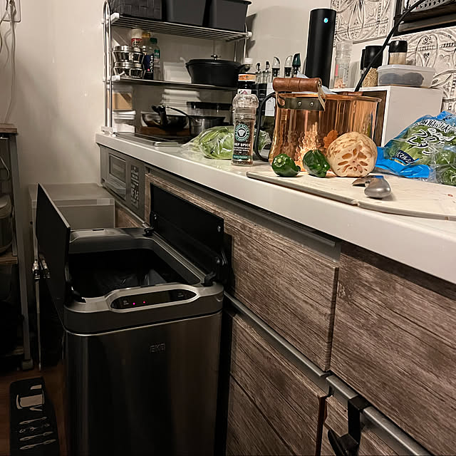 EKO ファントムセンサービン 45L EK9277 ゴミ箱 ダストボックス - 通販 | RoomClipショッピング