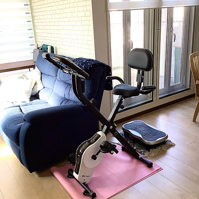 STEADY FITNESS STEADY フィットネスバイク 背もたれ付 マット付 【 Designed in Japan 独自開発の非接触式airホイール®︎ / 静音/専用モニター ...