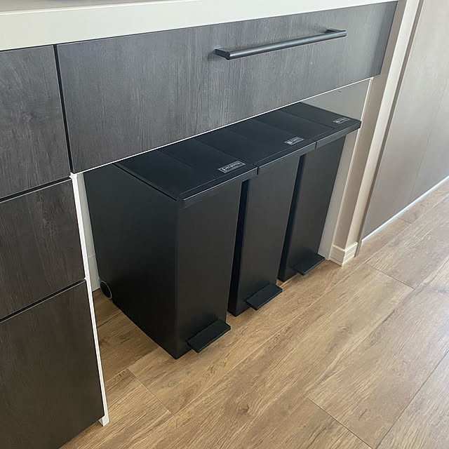 【写真付きレビュー】【KEYUCA公式店】ケユカ arrots ダストボックスII ゴミ箱 27L ブラック|おしゃれ キッチン 両開き シンプル スリム 黒 キャスター付き キャスター 分別 ...