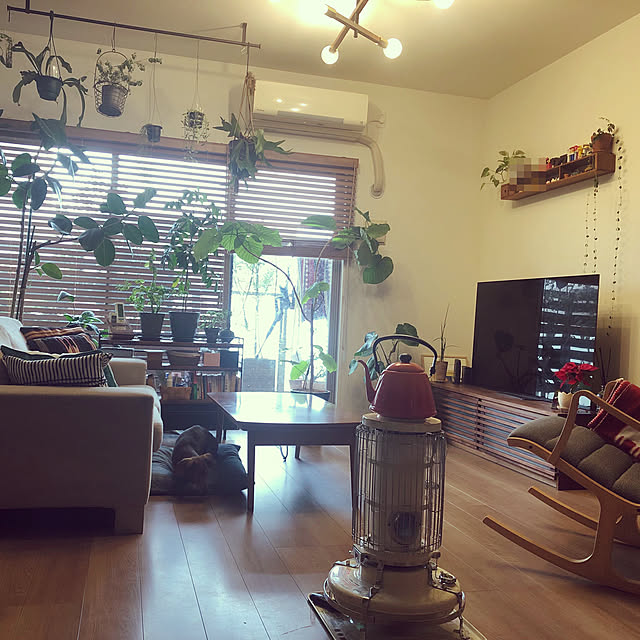 INTERFORM INC. インタ?フォルム シーリングライト 照明 6灯 ブラック インダストリアル シンプル インテリア Astreア 直売正規 Amazon.co.jp ...