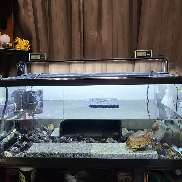 【写真付きレビュー】ジェックス GEX AQUA FILTER サイレントフロースリム ブラックSP ハイブリッドフィルター 水中設置式 コーナー設置型の通販商品&口コミ情報 ...