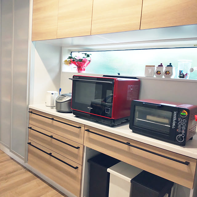 【写真付きレビュー】【KEYUCA公式店】ケユカ arrots ダストボックスII ゴミ箱 27L ブラック|おしゃれ キッチン 両開き シンプル スリム 黒 キャスター付き キャスター 分別 ...