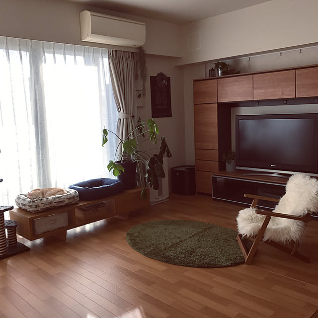 【写真付きレビュー】【あす楽】 モデコ モデキャットリターボックス/modko modkat litter box 本体上から出入りする ...