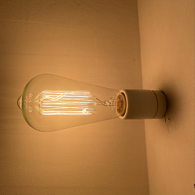 【写真付きレビュー】青山電陶 E26 小モーガルソケット 磁器製 (1つ穴) E26-01の通販商品&口コミ情報 | RoomClipショッピング