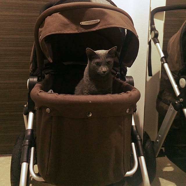 【写真付きレビュー】ボンビアルコン (Bonbi) ペットバギーデカ プログレ ブラウンの通販商品&口コミ情報 | RoomClipショッピング