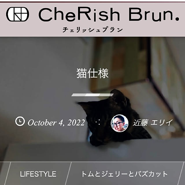 Cherish Brun/コラム/キジトラ/猫と暮らす家/猫のいる暮らし...などのインテリア実例 - 2022-10-04 09:27:36 ｜ RoomClip（ルームクリップ）