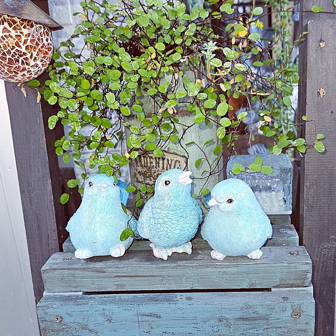 玄関/入り口/アニマルモチーフ/RCの皆様に感謝です ️/感謝｡.:*ฺ ฺ/癒し ̈ *...などのインテリア実例 - 2024-02-17 09:28:07 ｜ RoomClip（ルーム ...