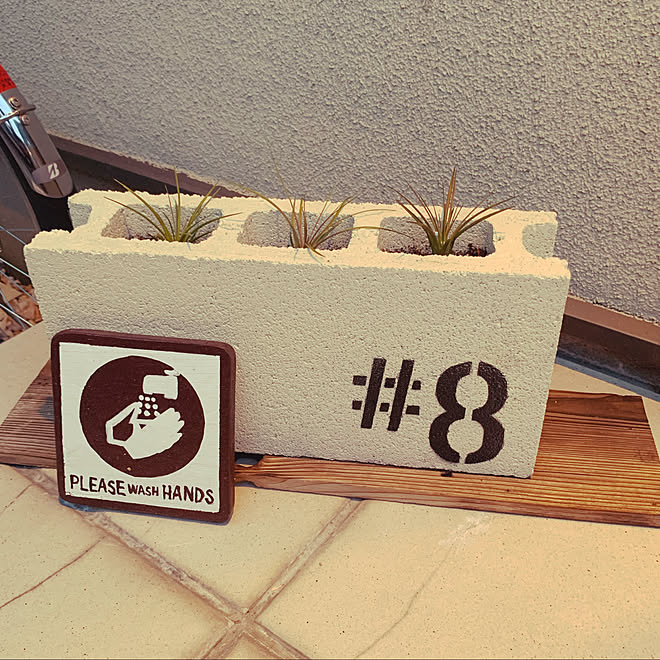 玄関/入り口/男前ガーデン/プチガーデニング/コンクリートブロック/玄関脇スペース...などのインテリア実例 - 2018-06-03 19: ...